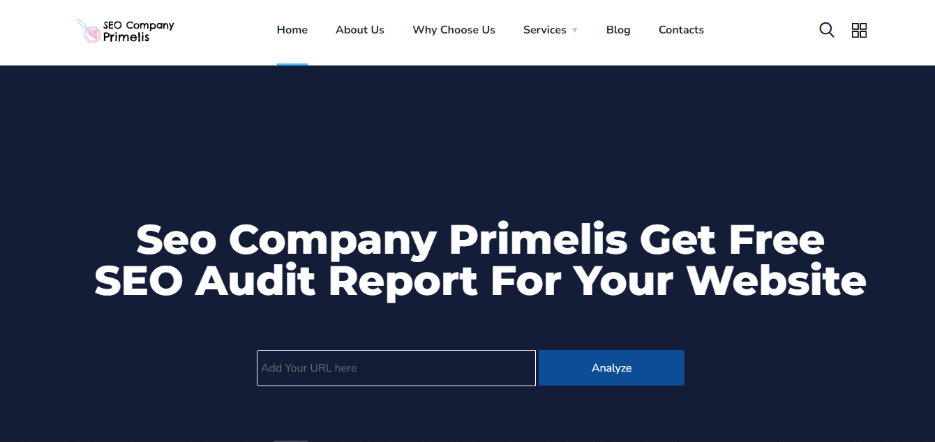 SEO Company Primelis: Is It Your Best Bet? + Best Alternatives in 2024